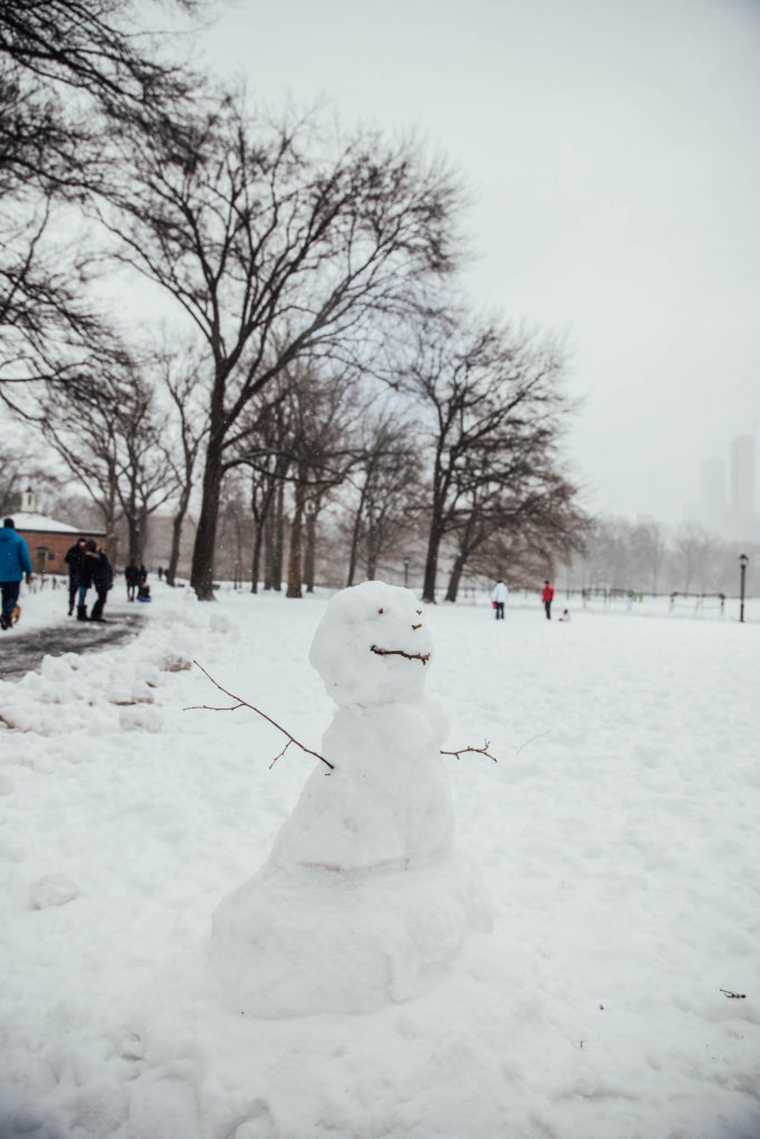 SNOW DAY - Walk In Wonderland