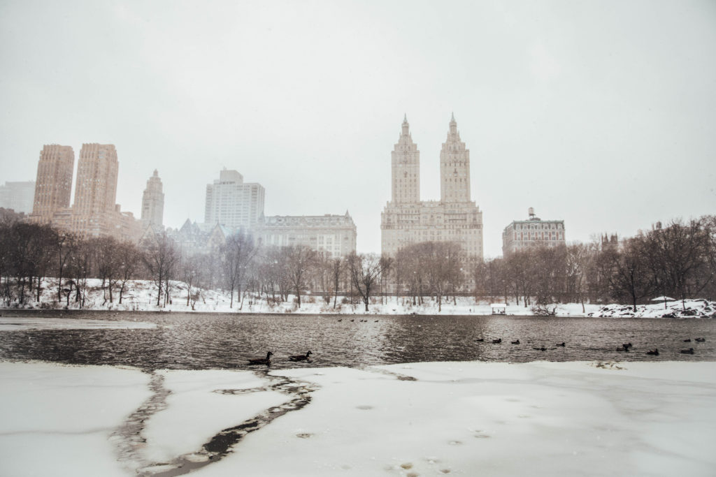 SNOW DAY - Walk In Wonderland